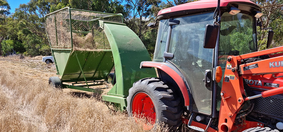 Grassland Management - Seeding Natives